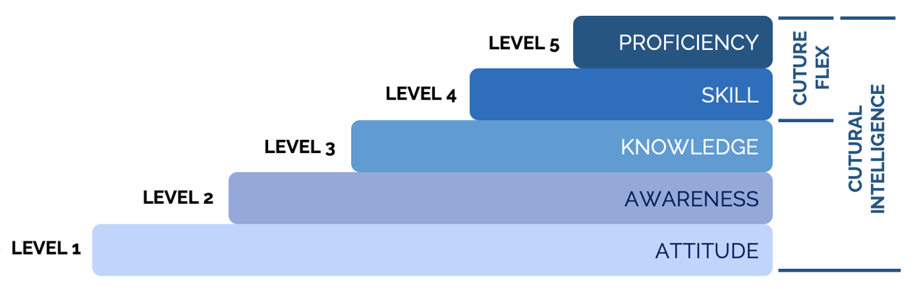 The CQ Maturity Model: A Pathway to Cultural Intelligence